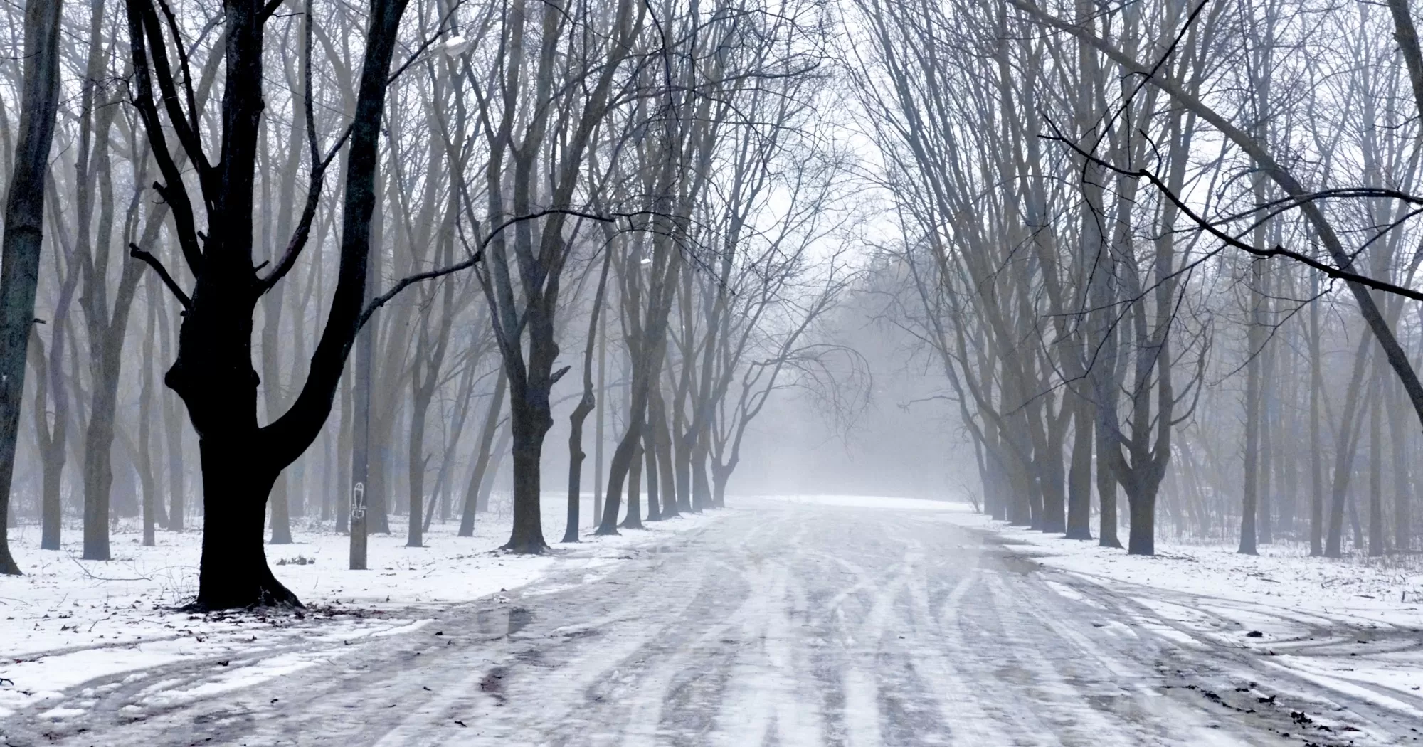 Ice is expected in the east of the country | Ukraine Top News