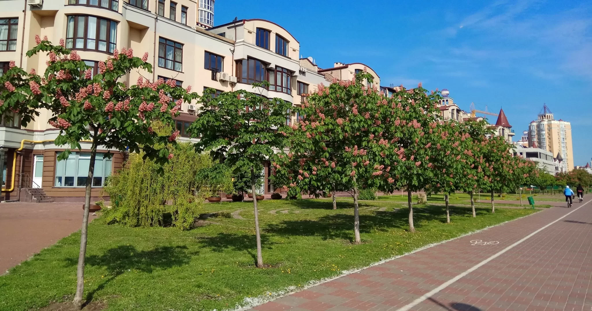 Dangerous weather conditions are expected in Ukraine on Monday ...