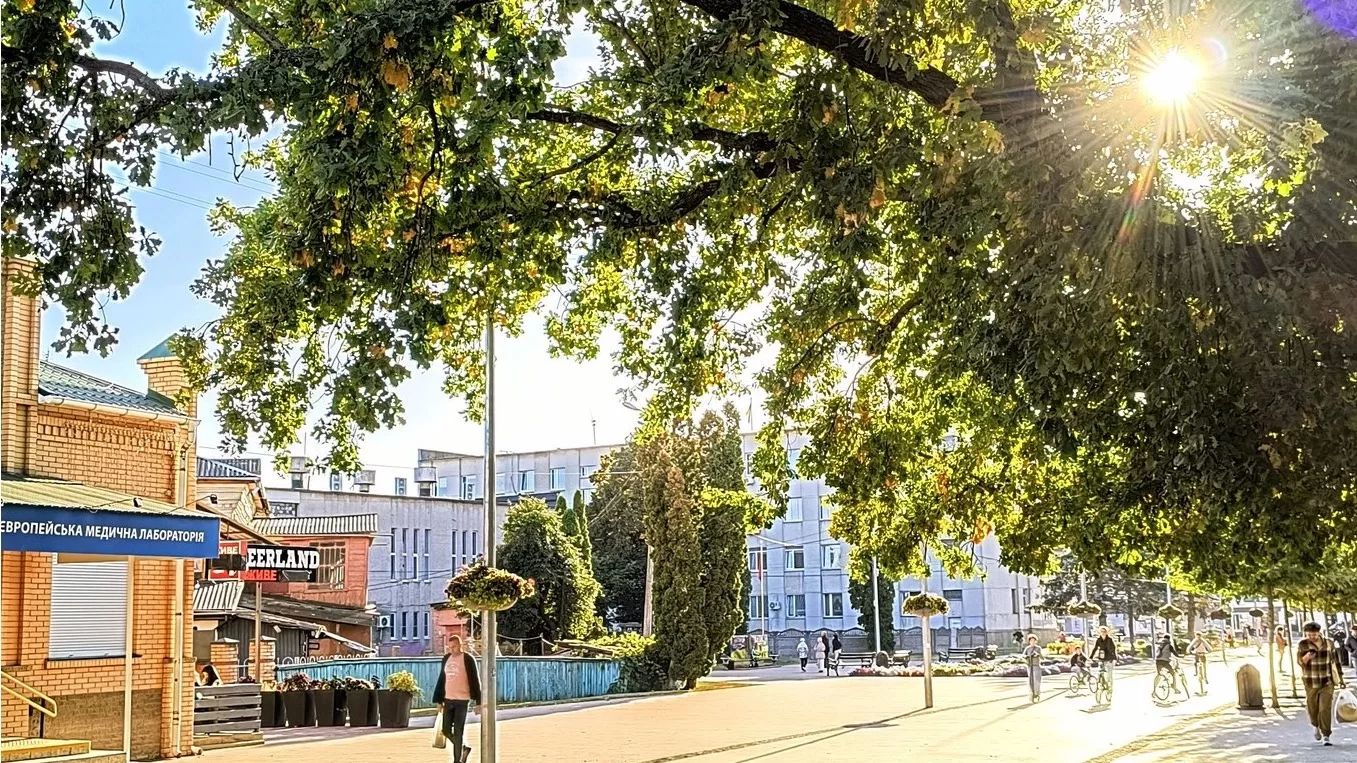 Rain in the west and north, wet snow in the Carpathians: forecast for ...